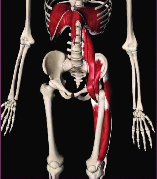 什么是Postural Restoration Institute/PRI姿势恢复技术？ - 知乎