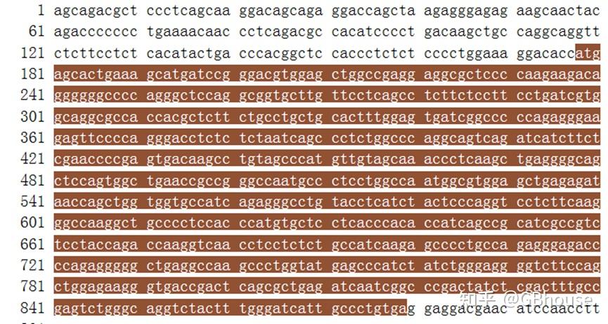 如何构建基因点突变序列从理论到实践-手把手教学 - 知乎