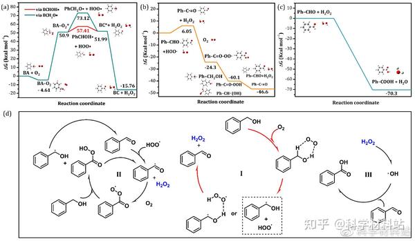 四川大学蒋炜教授课题组CEJ：阳光和空气的可持续H2O2光合作用 - 知乎