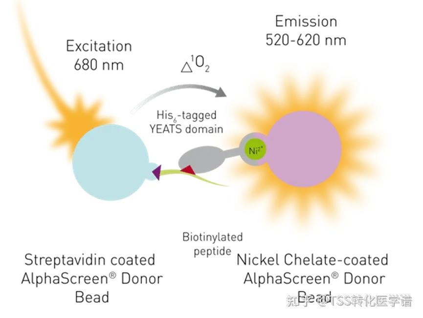 带你了解Alpha Screen技术 - 知乎