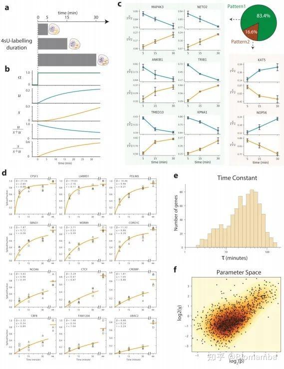 《Nature》|scRNA Velocity剪切速率分析 - 知乎