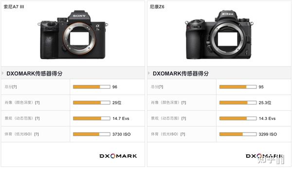 2021年 618，尼康 z6 和 A7M3 怎么选?