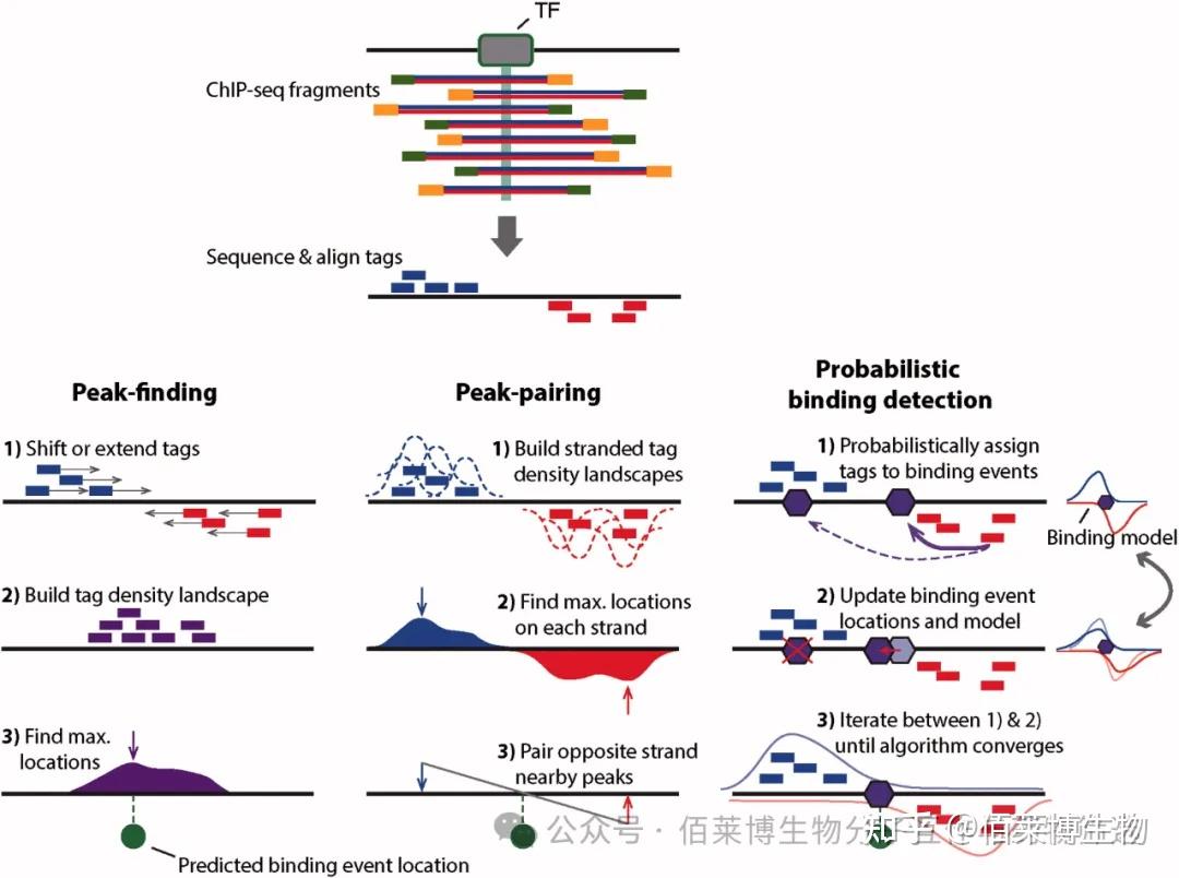 从预测到验证——转录因子-启动子研究的流程 - 知乎