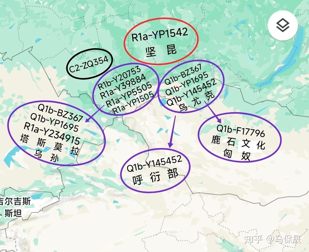 匈奴王族：Q1b-F23939 ？ - 知乎