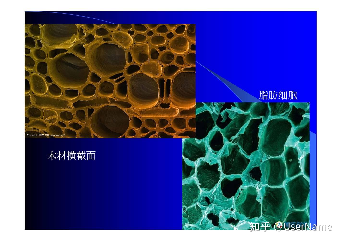 流入壁面的 热量与另一侧流出的热量达到平 - 知乎