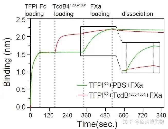 一文读懂利用生物膜干涉技术（BLI）进行竞争性结合实验 - 知乎