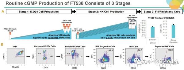 NK细胞治疗全解析-工艺篇 - 知乎