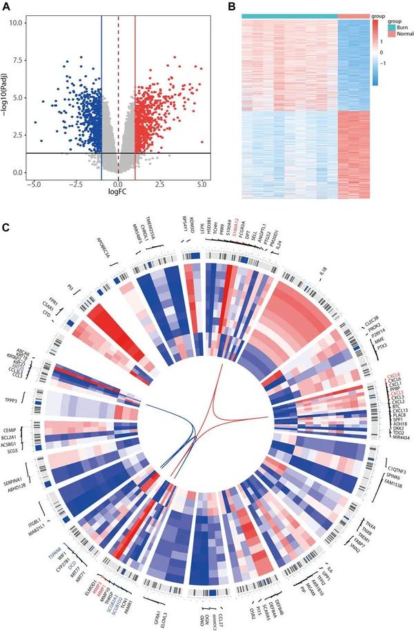 4+WGCNA非肿瘤生信分析文章，学会这个思路，让你发表SCI如同开外挂！！！ - 知乎