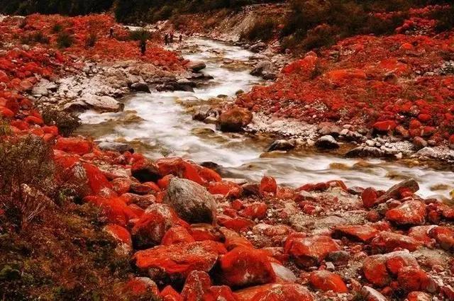 大自然的魔术，中国20个堪称神奇的自然景观 - 知乎