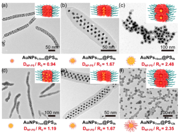 华中科技大学朱锦涛教授团队《Macromolecules》：聚合物接枝的无机纳米粒子在柱状胶束中的软受限行为 - 知乎