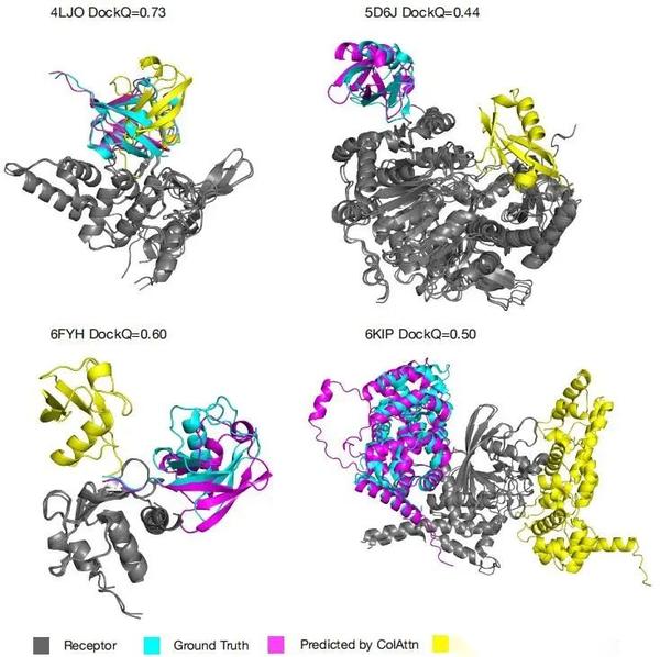 用蛋白语言模型改进蛋白复合物预测 - 知乎