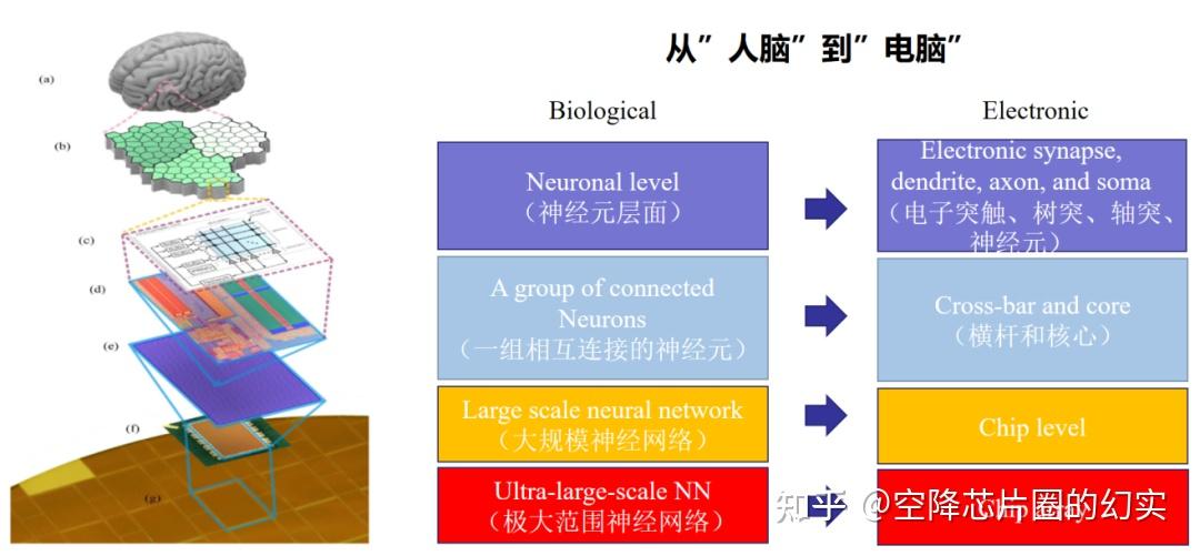 异构+融合，探索类脑计算芯片的蓝海市场 - 知乎