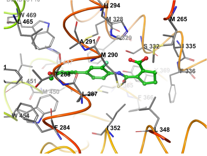 药物发现│靶向Farnesoid X受体的药物开发