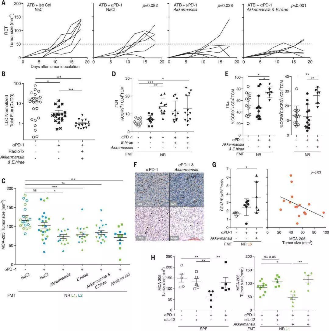 万能益生菌“Akk”的中场战事 - 知乎