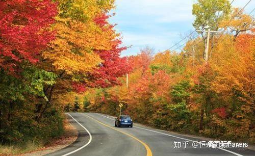 这大概秋季全球最美线路吧-加拿大枫叶大道 - 知乎