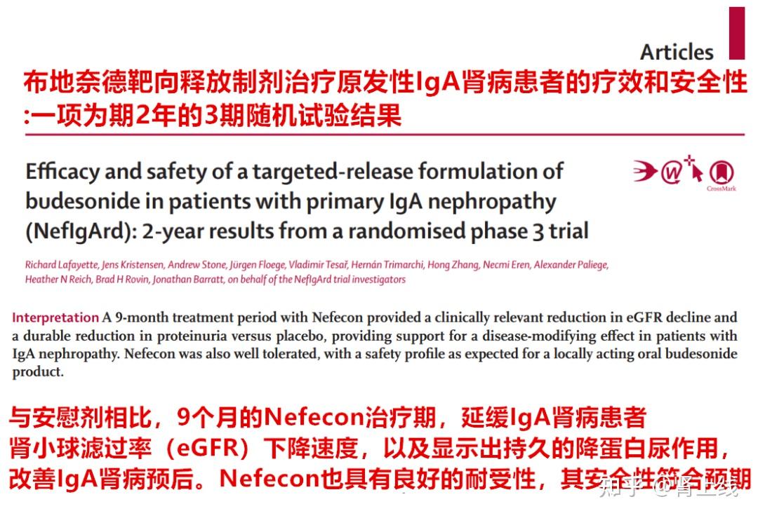 20万一年的IgA肾病靶向药，第一批肾友用药反馈来了！ - 知乎