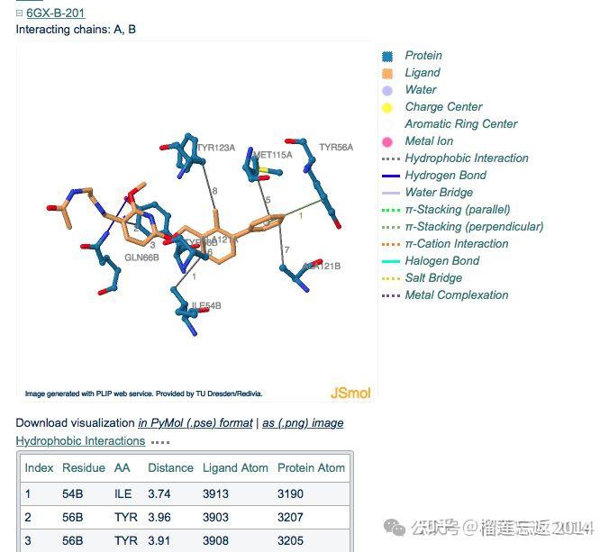 PLIP: 如何分析蛋白质和配体相互作用? - 知乎