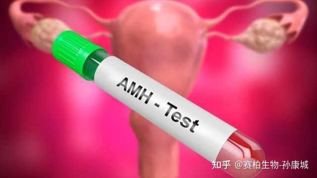 了解AMH：生殖健康的重要标志 - 知乎
