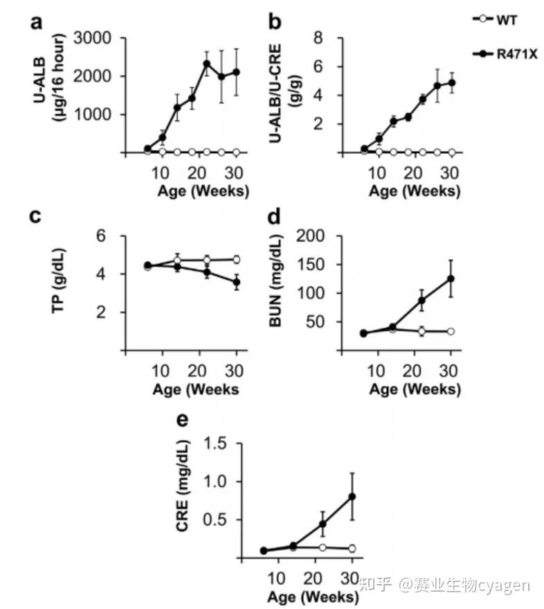 Alport综合症致病基因之COL4A5 - 知乎