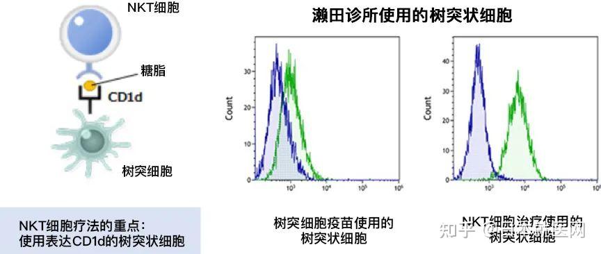 最新消息：日本濑田诊所集团即将开展新型细胞疗法 首家采用NKT细胞疗法 +DC疫苗联合方案 - 知乎