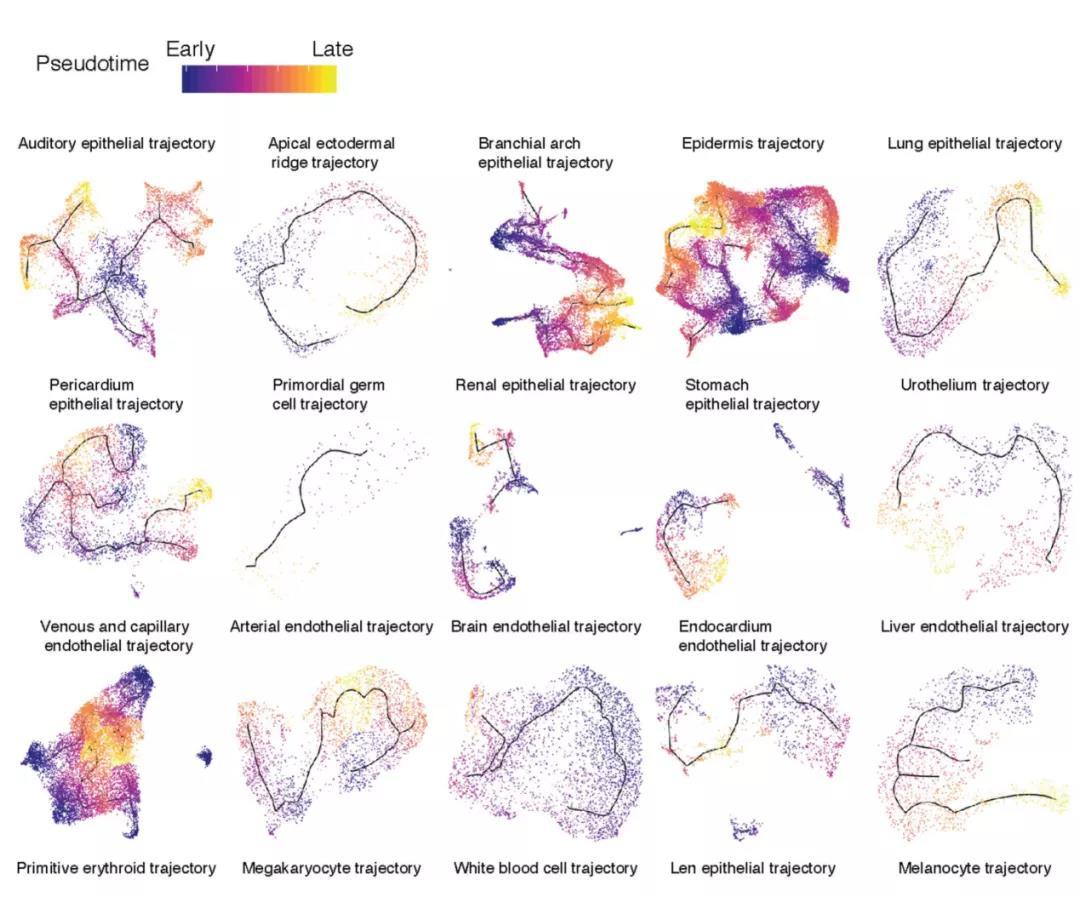 基于图谱的轨迹推断拟时序分析工具——Monocle3 - 知乎