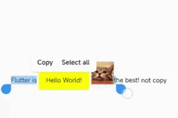Flutter 3.3 之 SelectionArea 好不好用？用 “Bug” 带你全面了解它 - 知乎