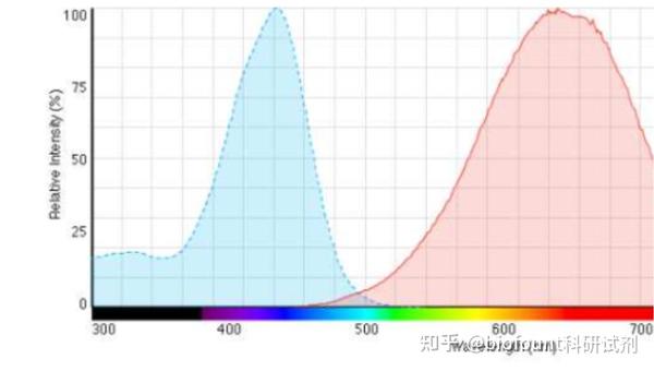 常用的钙离子探针 - 知乎