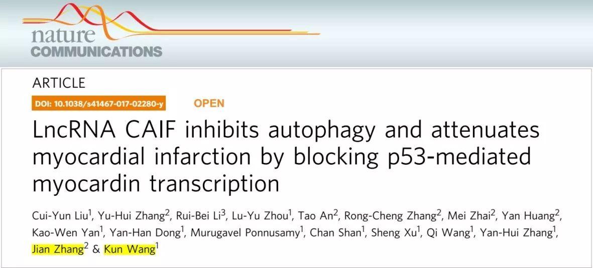 LncRNA＋自噬＋p53＝10分文章 - 知乎