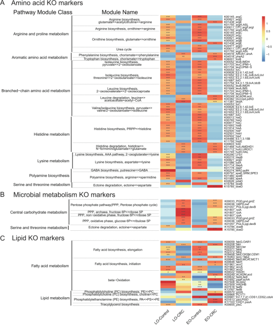 文献解读|宏基因组联合代谢组构建早期结直肠癌诊断标志物 - 知乎