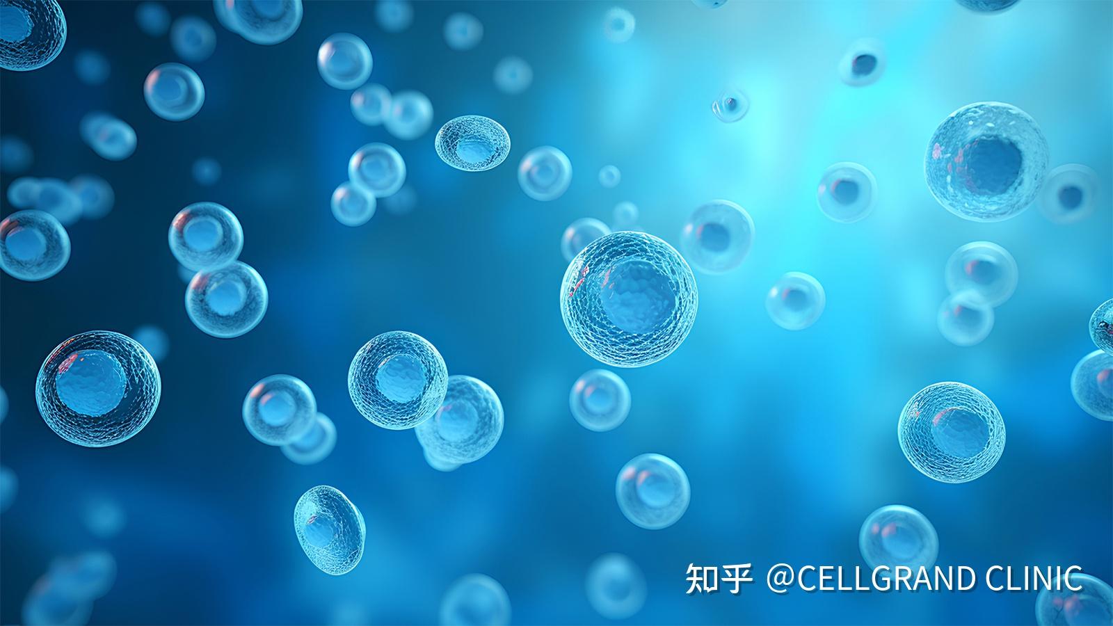 慢性疼痛的新希望！脂肪干细胞疗法（ADMSC）的疗效与最新研究证据全面解析 - 知乎