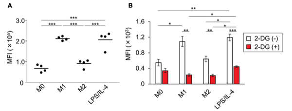 Front. Immunol丨用 LPS 和 IL-4 同时刺激诱导独特的巨噬细胞亚群 - 知乎