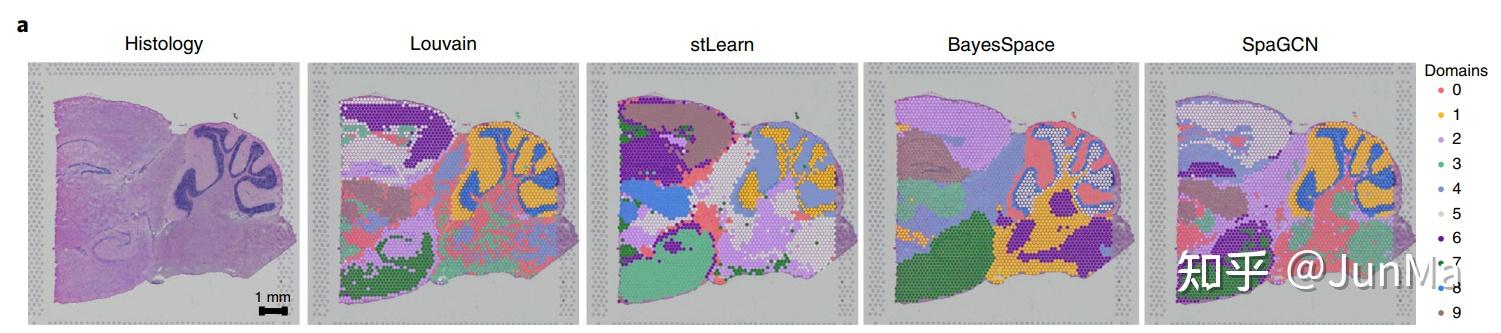 202110-Nature Methods-SpaGCN学习笔记 - 知乎