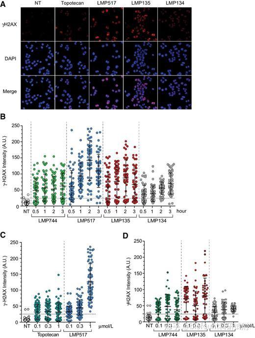 LMP744；DNA嵌合剂 - 知乎