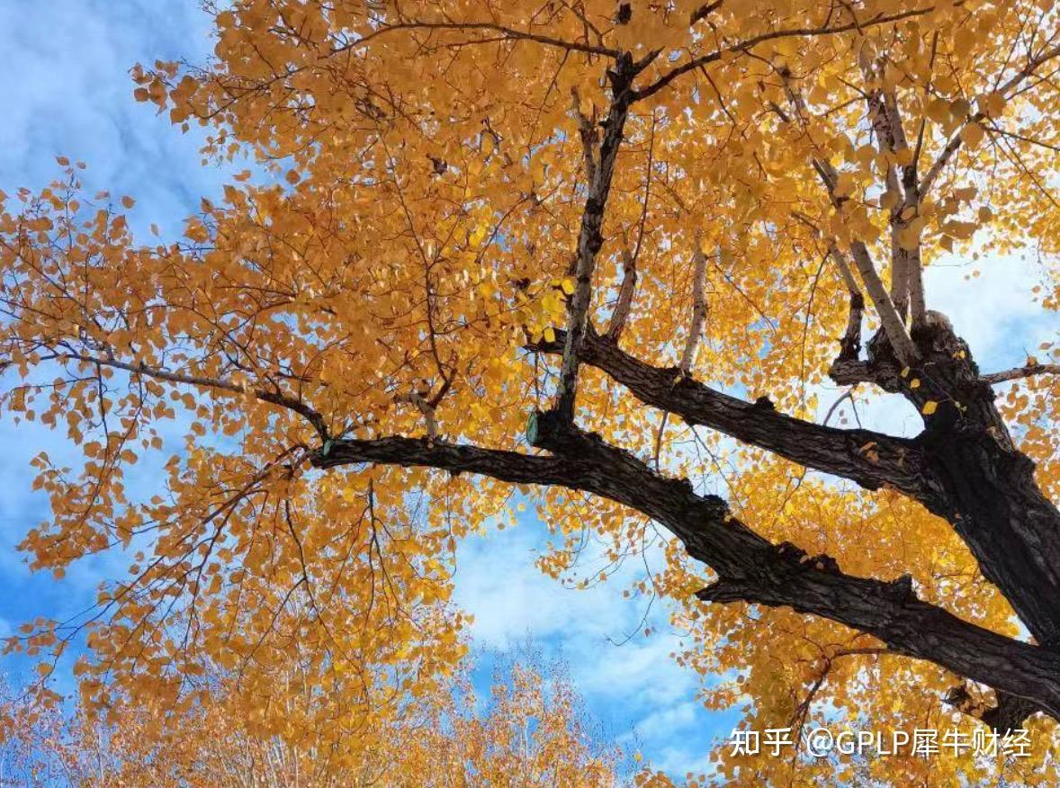 “卖血救子” 国美“好父亲”黄光裕 - 知乎