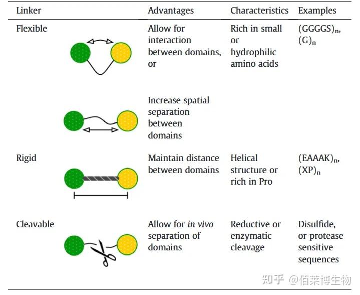 干货分享：带你了解融合蛋白表达如何设计linker - 知乎
