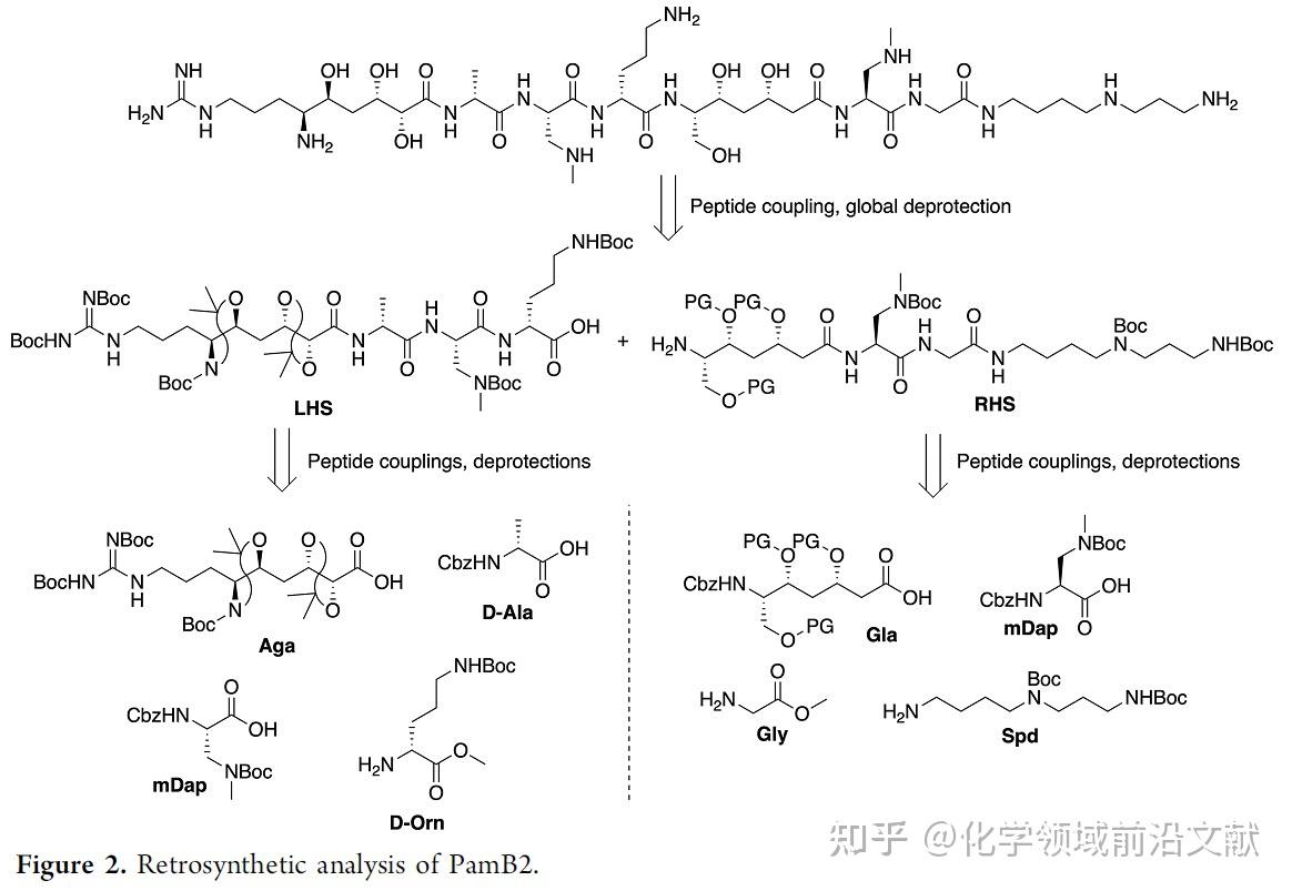 你似乎来到了没有知识存在的荒原 - 知乎