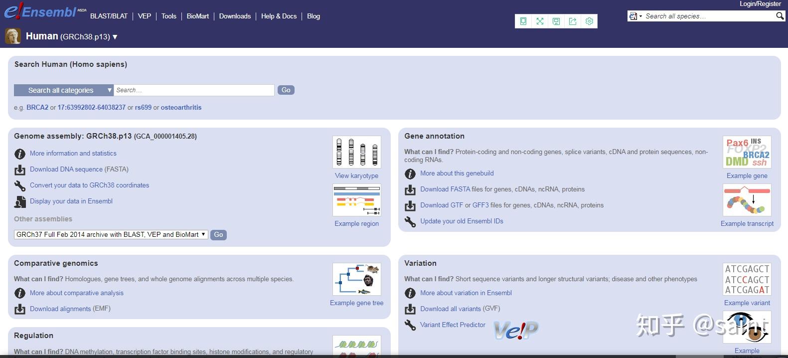 使用ensembl探索人类基因组 - 知乎