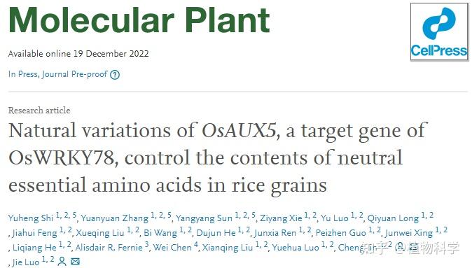 Mol Plant | 海南大学罗杰教授团队揭示水稻籽粒必需氨基酸积累的调控机制 - 知乎