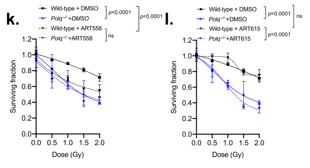 Polθ抑制剂在合成致死中的应用 - 知乎