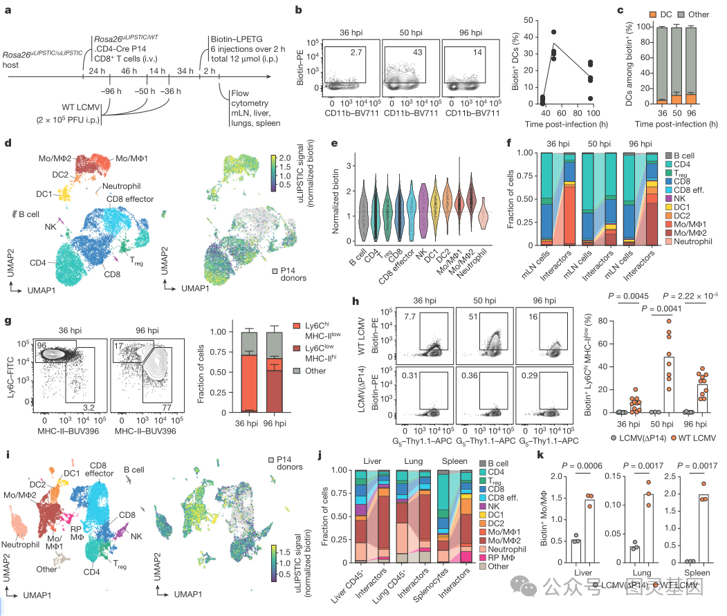 Nature | 洛克菲勒大学开发新方法，定量记录体内免疫细胞间的物理相互作用 - 知乎