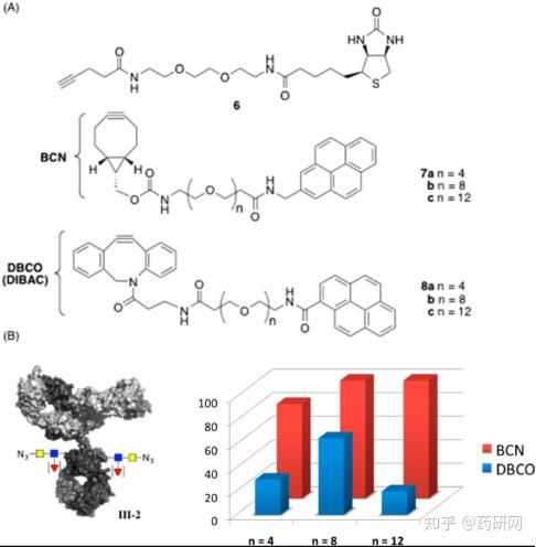 21.5亿美元！Synaffix两天达成两项ADC合作，获“最佳ADC平台技术”奖 - 知乎