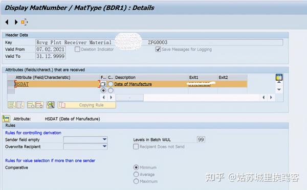SAP Batch Derivation功能初探之一 - 知乎