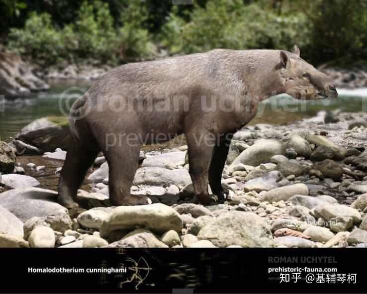 新生代巨兽猛兽与其他掠食者精简名录：古兽争锋榜（新近纪篇） - 知乎