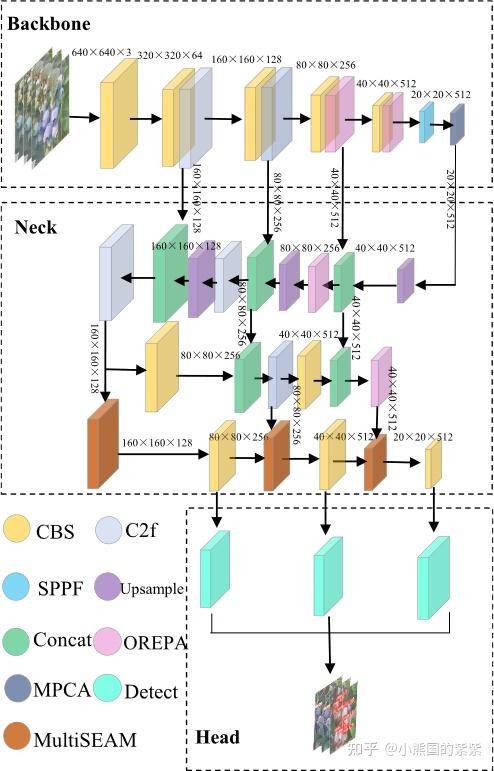 文献阅读：TL-YOLOv8: A Blueberry Fruit Detection Algorithm Based on Improved YOLOv8 and Transfer ...