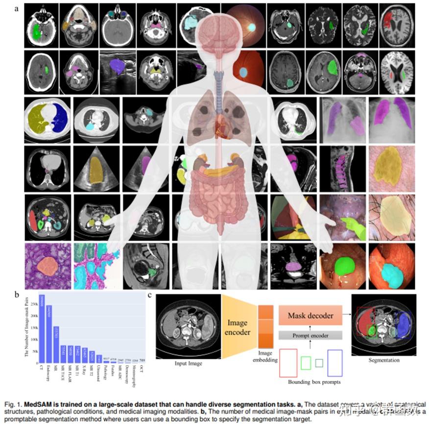 遥感视觉大模型综述（近万字长文，包括但不限于遥感领域） - 知乎