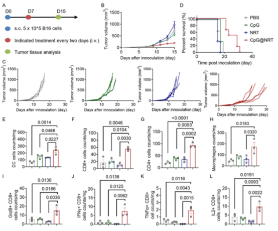 国家纳米科学中心林耀新/王浩团队Adv Mater.：负载CpG的智能纳米递送机器诱导细胞自噬效应提高TLR9阳性肿瘤免疫治疗 - 知乎