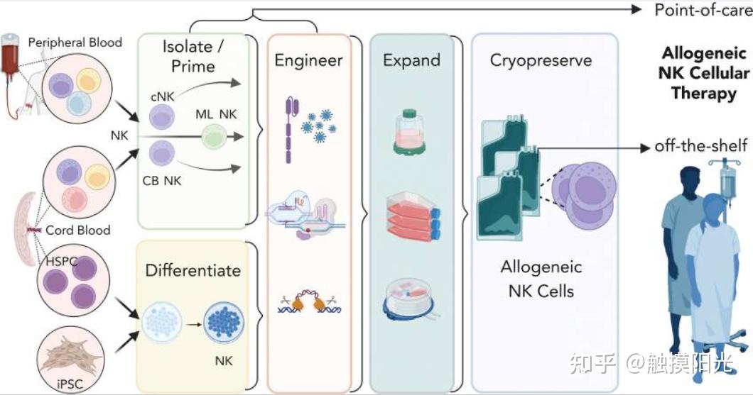 免费临床|达博生物E10H（自体NK细胞疗法）招募晚期消化道癌 - 知乎