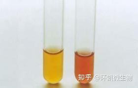 GB4789.4-2016沙门氏菌的检验过程及操作时的注意事项 - 知乎