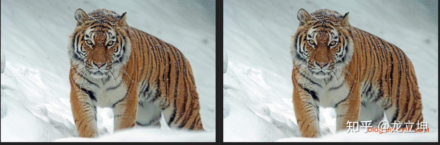 使用 ImageMagick 命令行工具处理图像指南 - 知乎