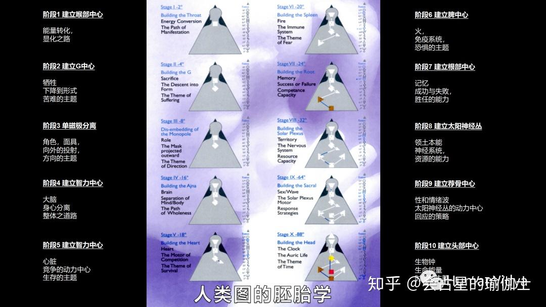 什么是人类图（Human Design）？20张图，看懂一套占星系统的架构 - 知乎